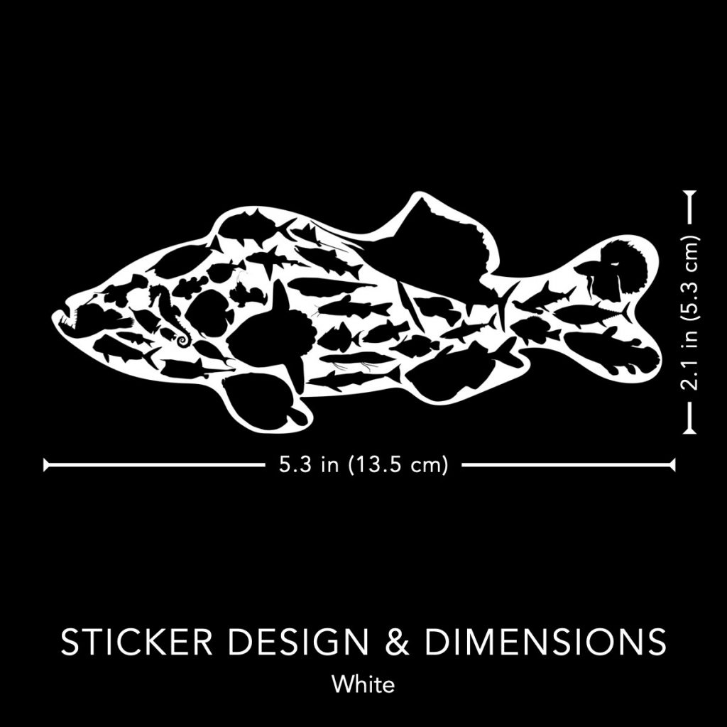 Diversity in the Fish Body Sticker - 3D Anatomy Studios