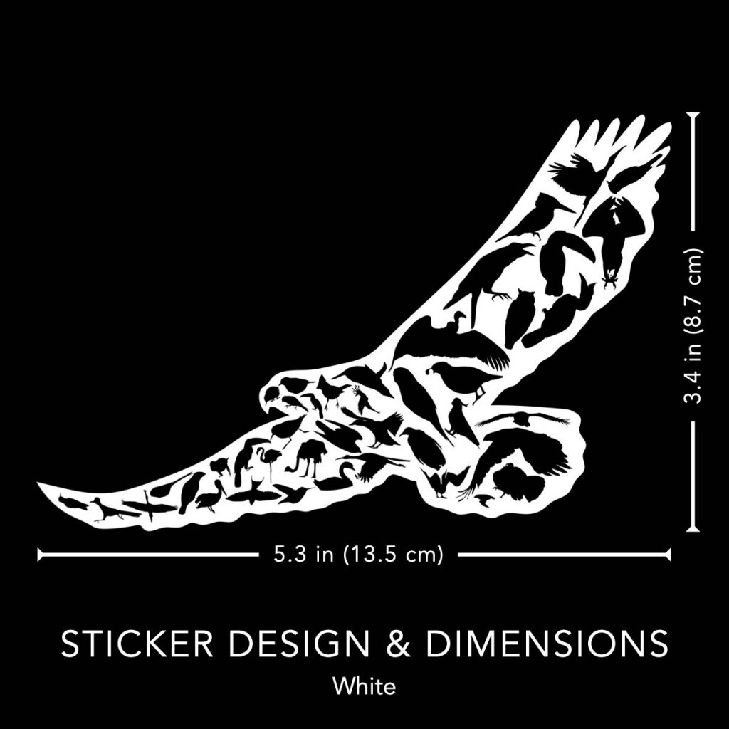 Diversity on the Wing Sticker - 3D Anatomy Studios