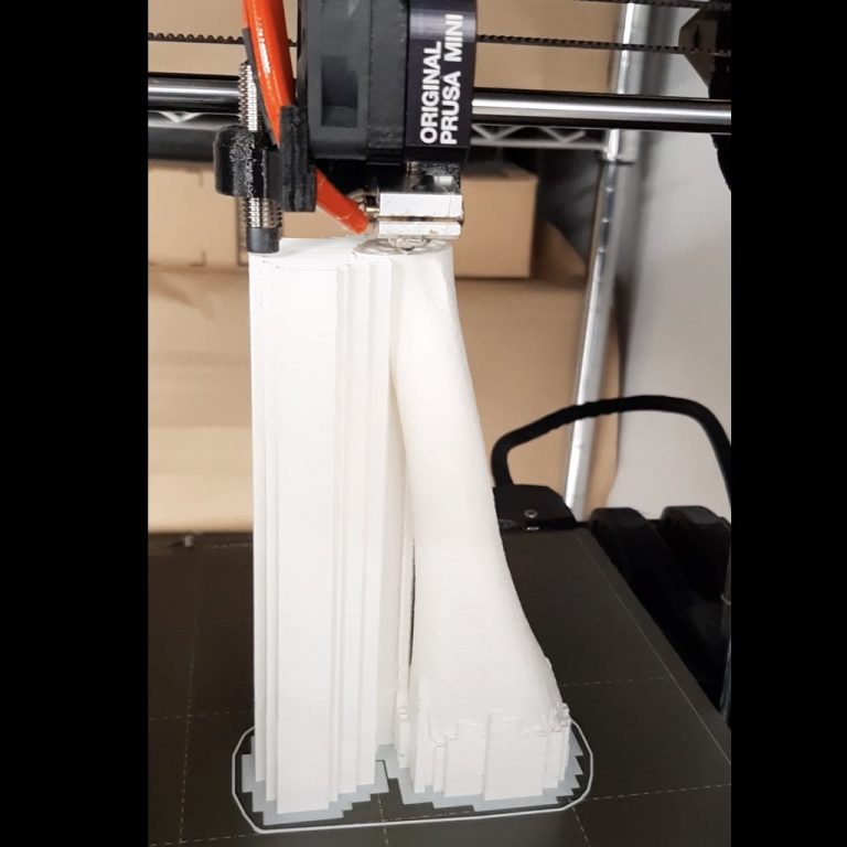 Our 10 steps to creating 3D printed anatomical models - 3D Anatomy Studios